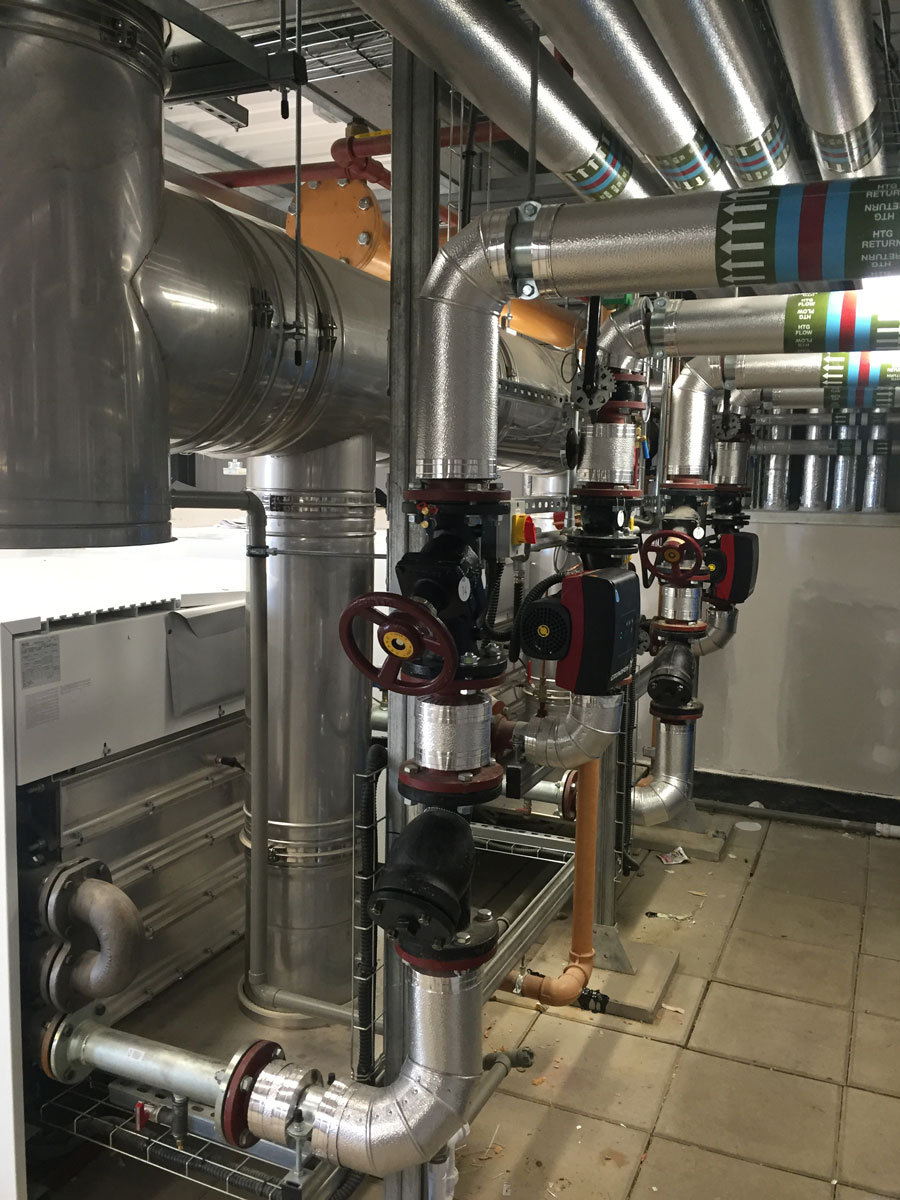 Starbank School | BSP Ltd